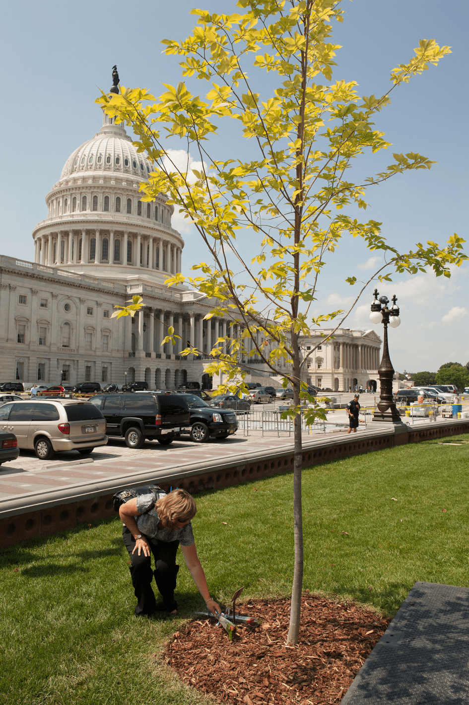 U.S. Capitol Grounds